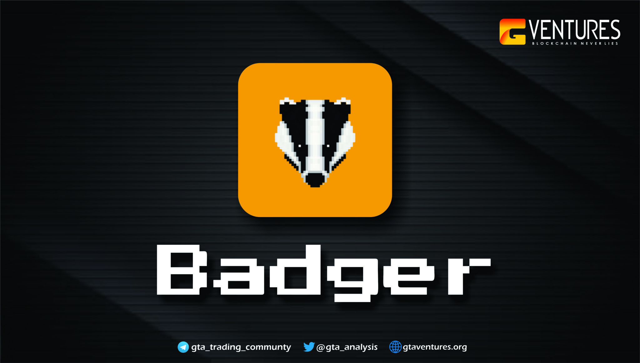 BADGER là gì? Tìm hiểu thông tin chi tiết về dự án Badger DAO | Cập ...