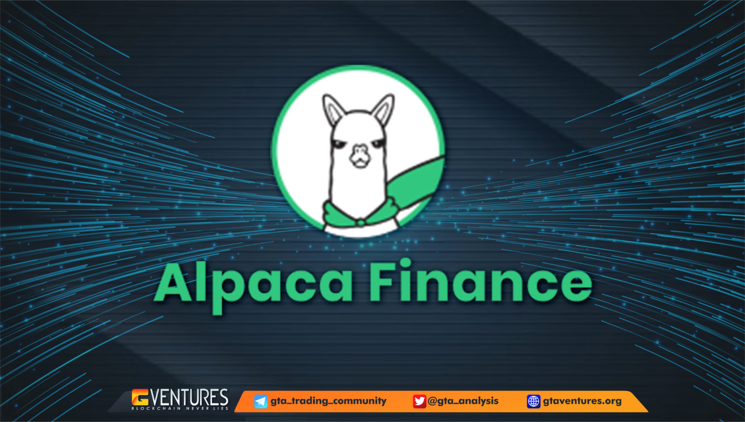 Alpaca Finance là gì? Tìm hiểu chi tiết về ALPACA | Cập nhật tin tức ...